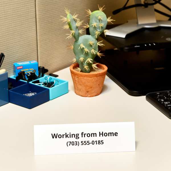 50 Embossed Tent Cards, Place Cards 3-1/2" x 11" (5309) | Avery.com